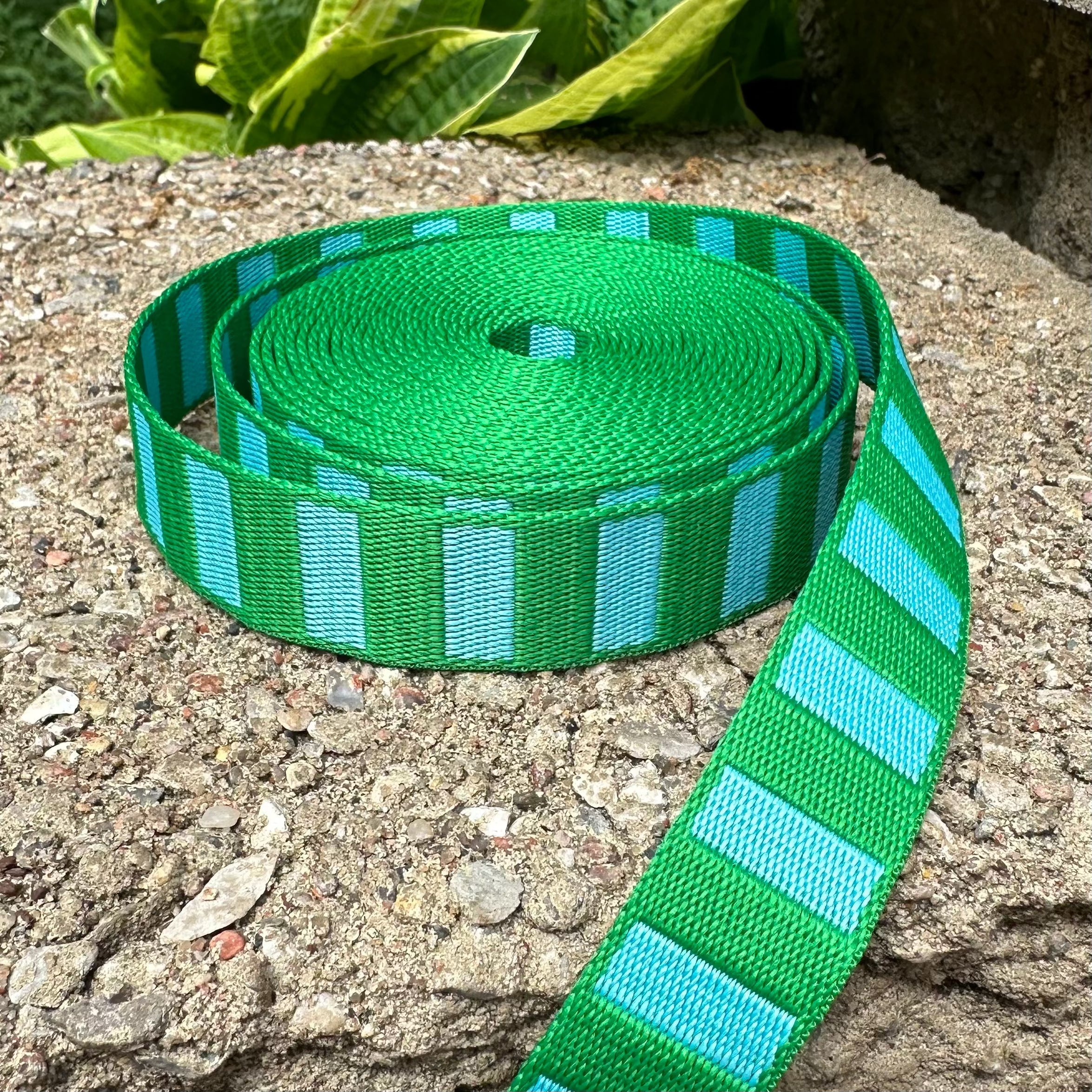 1" Wide Bold Stripe Webbing: Billiard & Turquoise