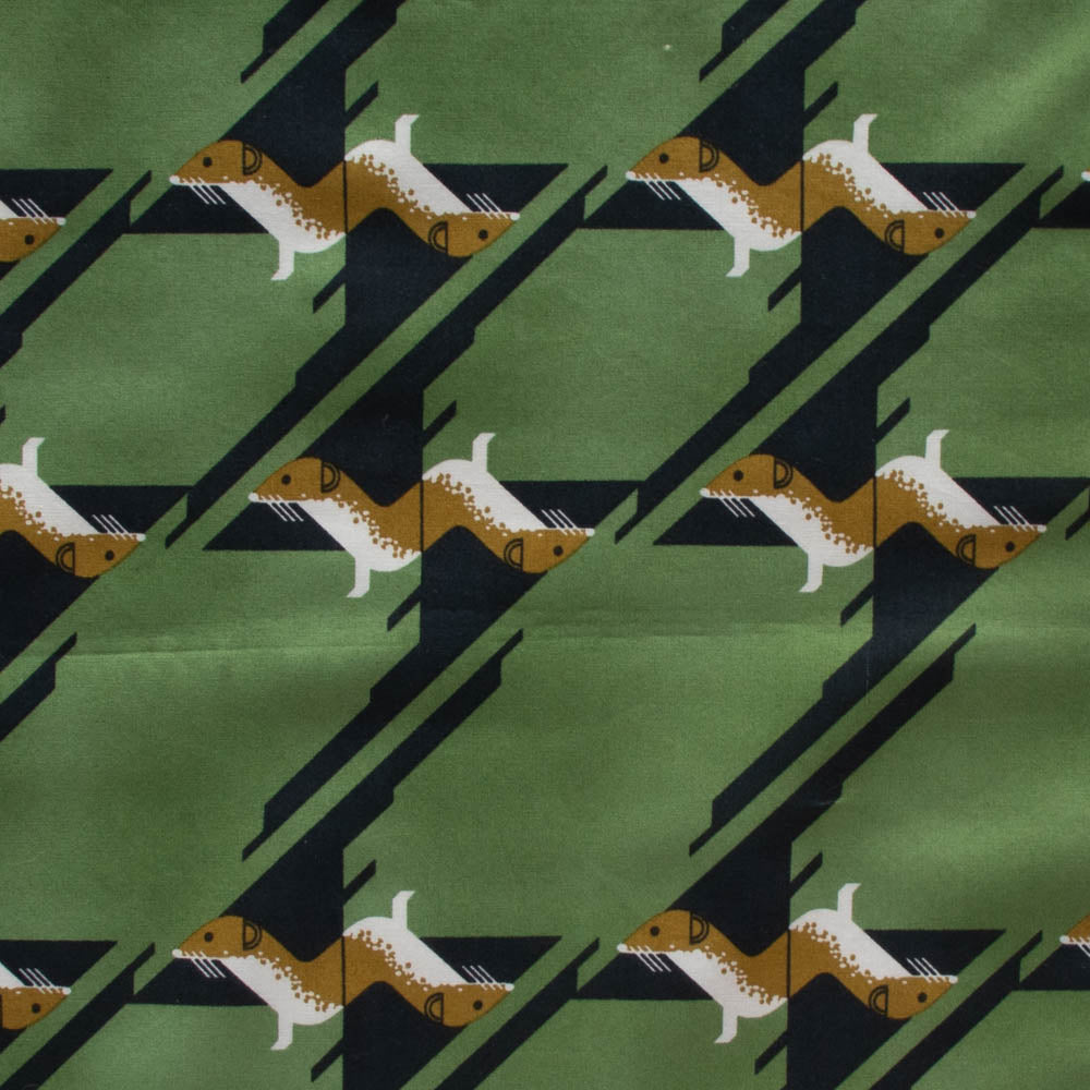 Alpine Northwest: Western Weasel